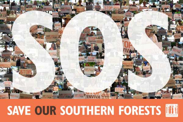 SOS! National Day of Action to Save Our Southern Forests