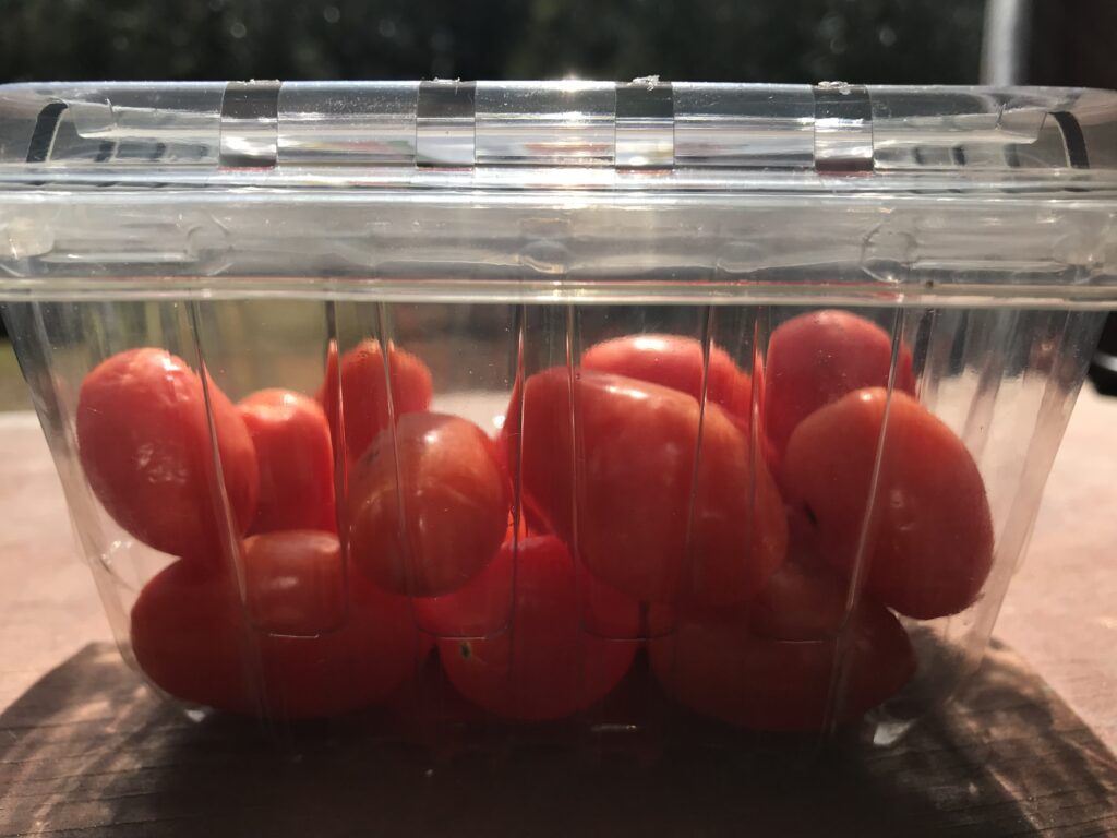 Why We Cannot Recycle Our Way Out of the Plastic Mess