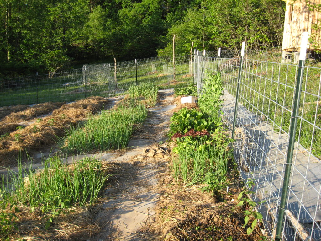 Permanent Raised Garden Beds-Blog 48 in a Gardening Series