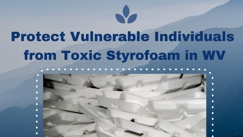 The Truth About Polystyrene